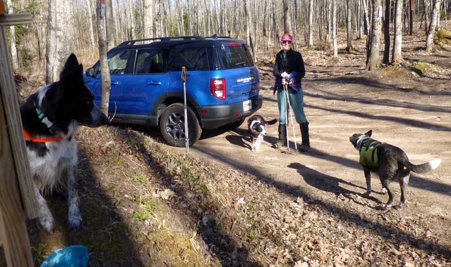 Dog pics | Page 514 - TractorByNet