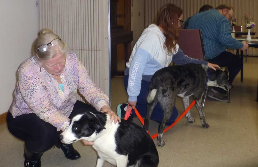 Dog pics | Page 477 - TractorByNet