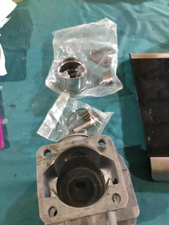 Echo Cs 7310p Pro Chainsaw Questions And Thoughts And Things You`ve Done