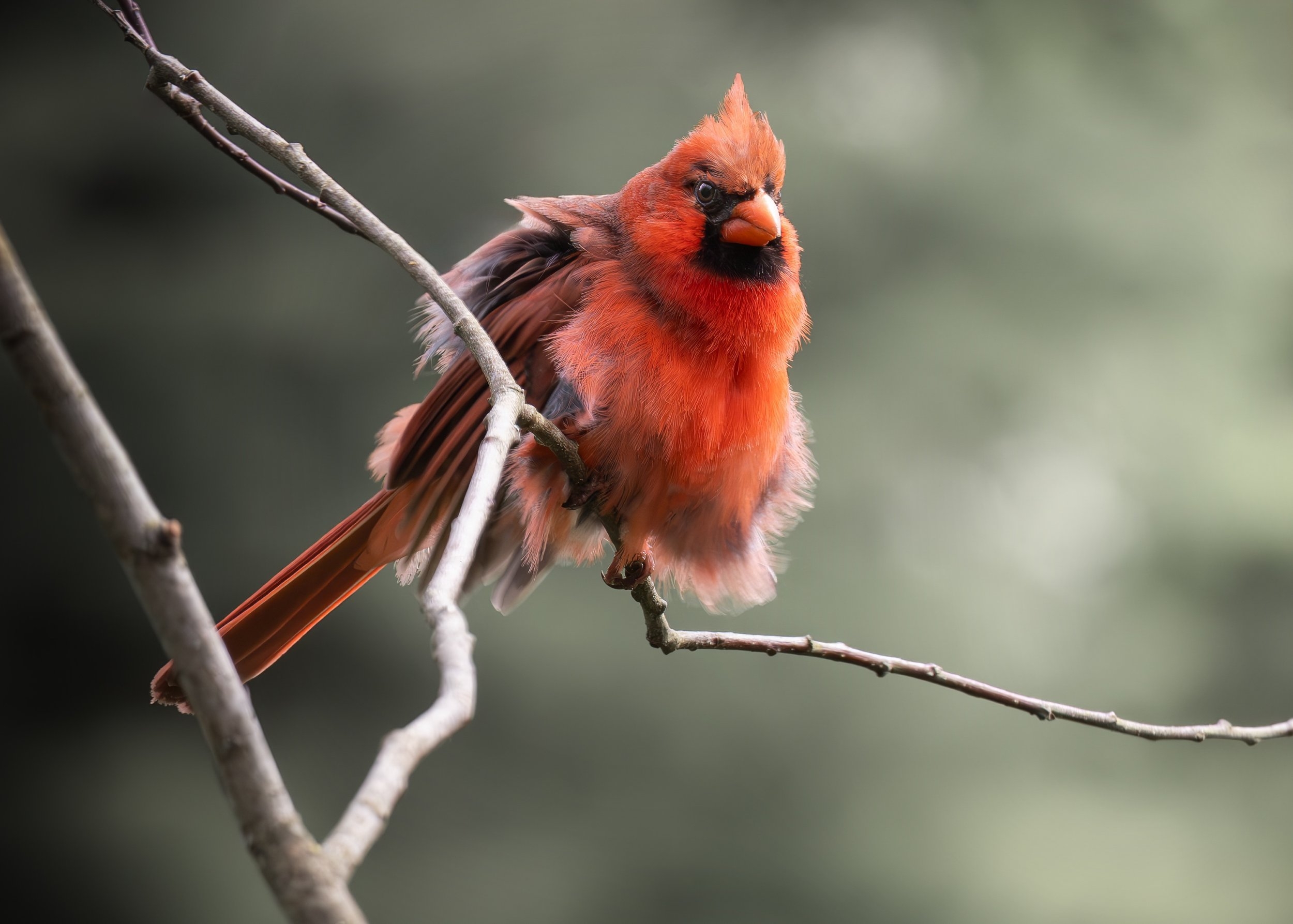 Cool Nature Photos | Page 300 - TractorByNet