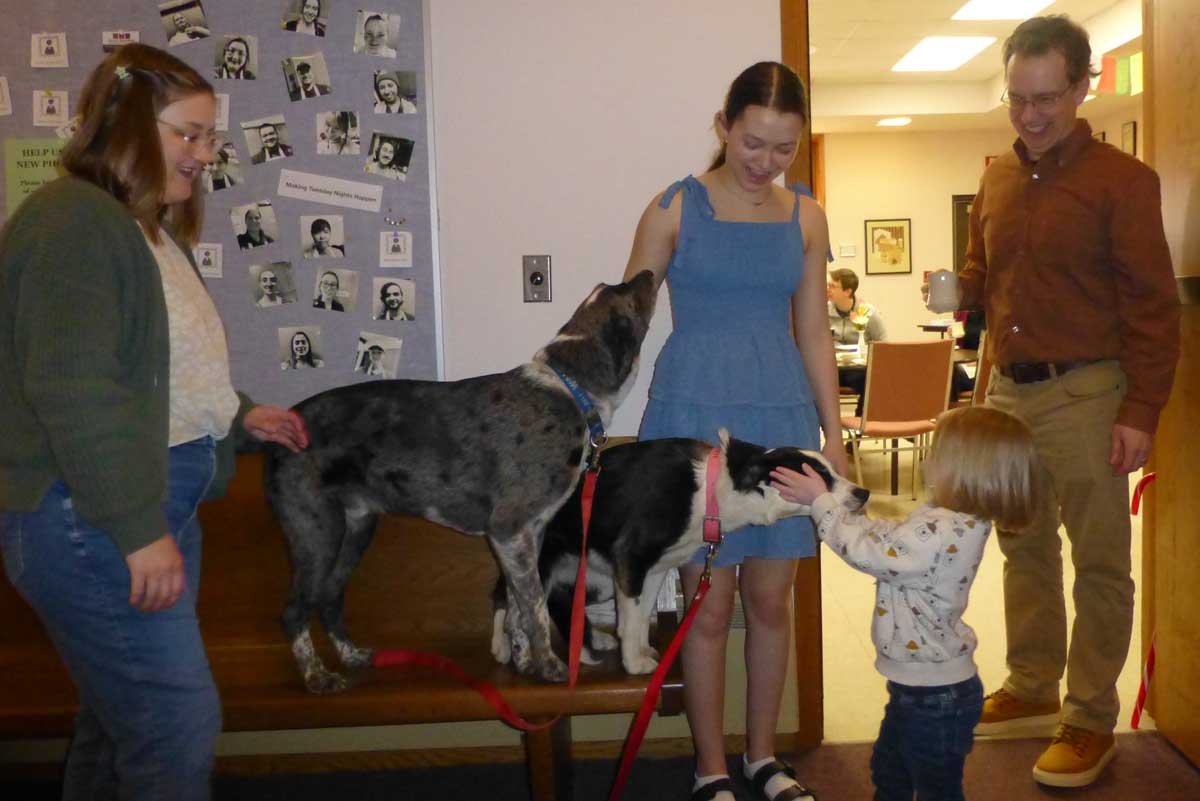 Dog pics | Page 514 - TractorByNet